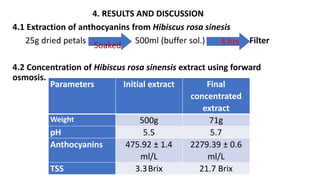 Spray Drying of Hibiscus rosa sinensis extract.pptx