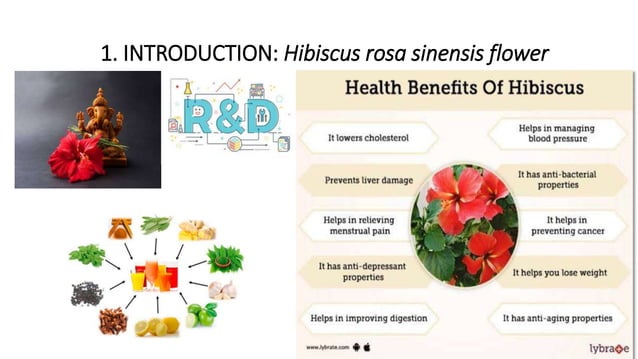 Spray Drying of Hibiscus rosa sinensis extract.pptx