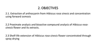 Spray Drying of Hibiscus rosa sinensis extract.pptx