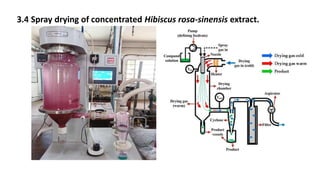 Spray Drying of Hibiscus rosa sinensis extract.pptx