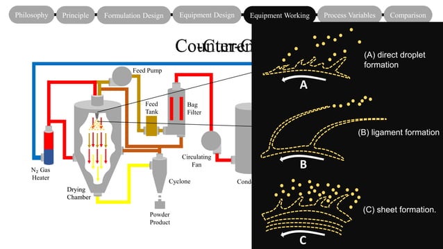 Granulation and Microencapsulation by Spray Drying | PPTX