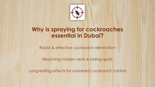 Spraying for cockroaches across different properties in Dubai | PPT