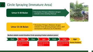 SPRAYING SYSTEM HERBISIDA IN PLANTATIAO.pptx
