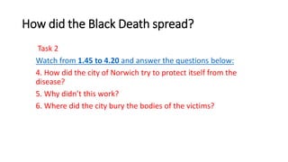 Spread_and_symptoms_of_the_Black_Death_Ruth_Lingard.pptx | Infectious ...