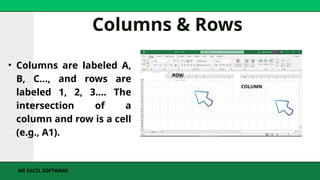 Spreadsheet Software in Information and Communication Technology | PPTX