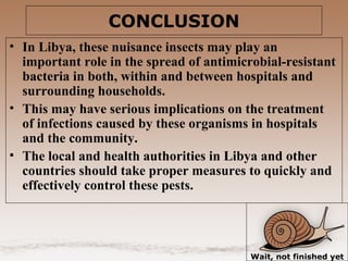 Spread of antibiotic resistant bacteria-Libya | PPT