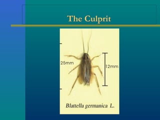 Spread of antibiotic resistant pathogenic bacteria in the hospital ...