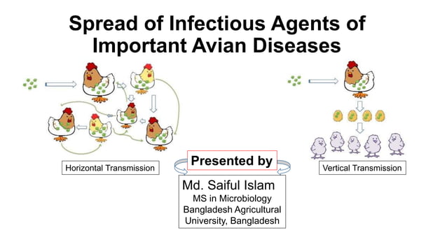Spread of infectious agents of important avian diseases | PPTX ...