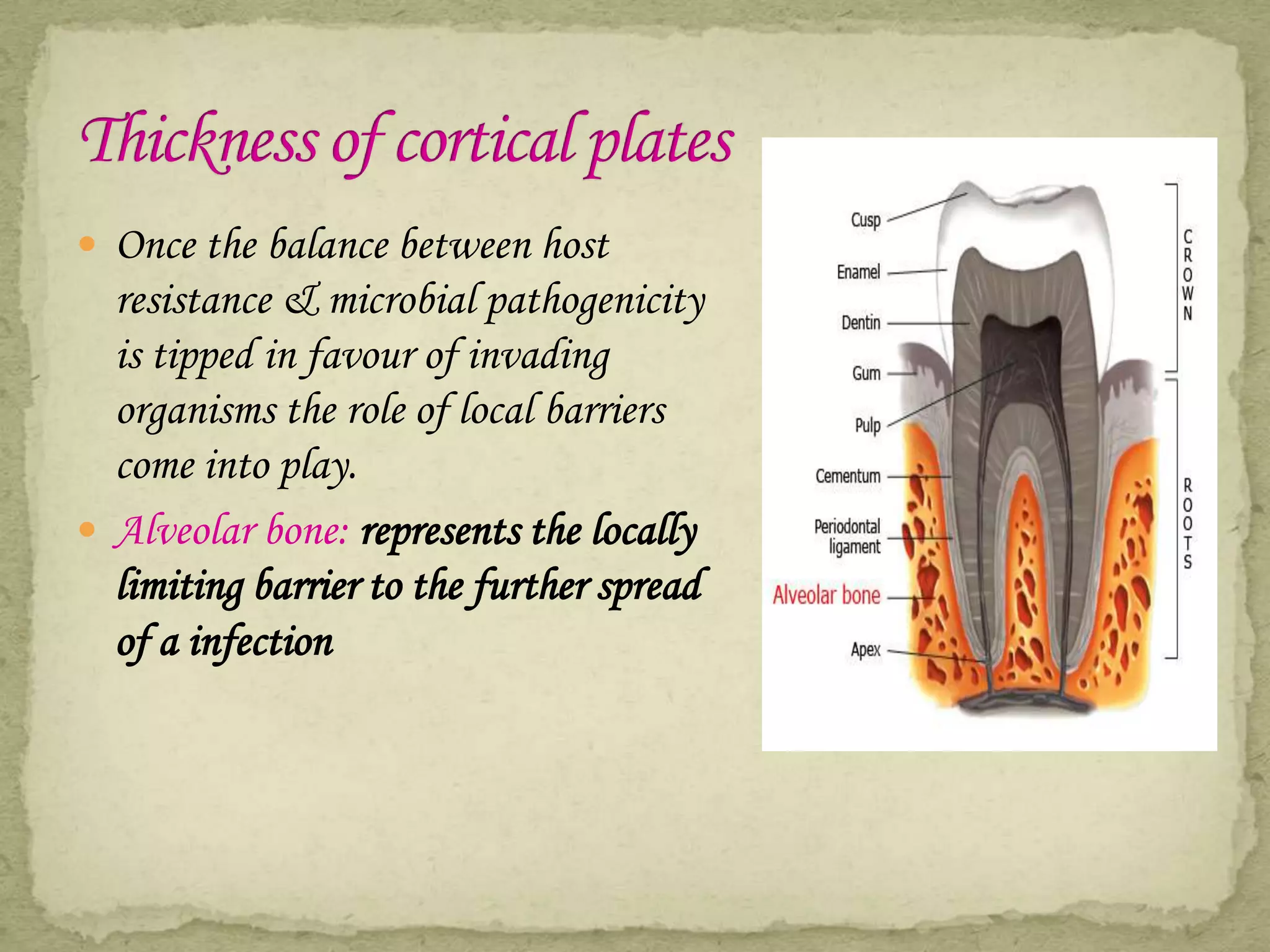 Spread of Oral Infection | PPTX