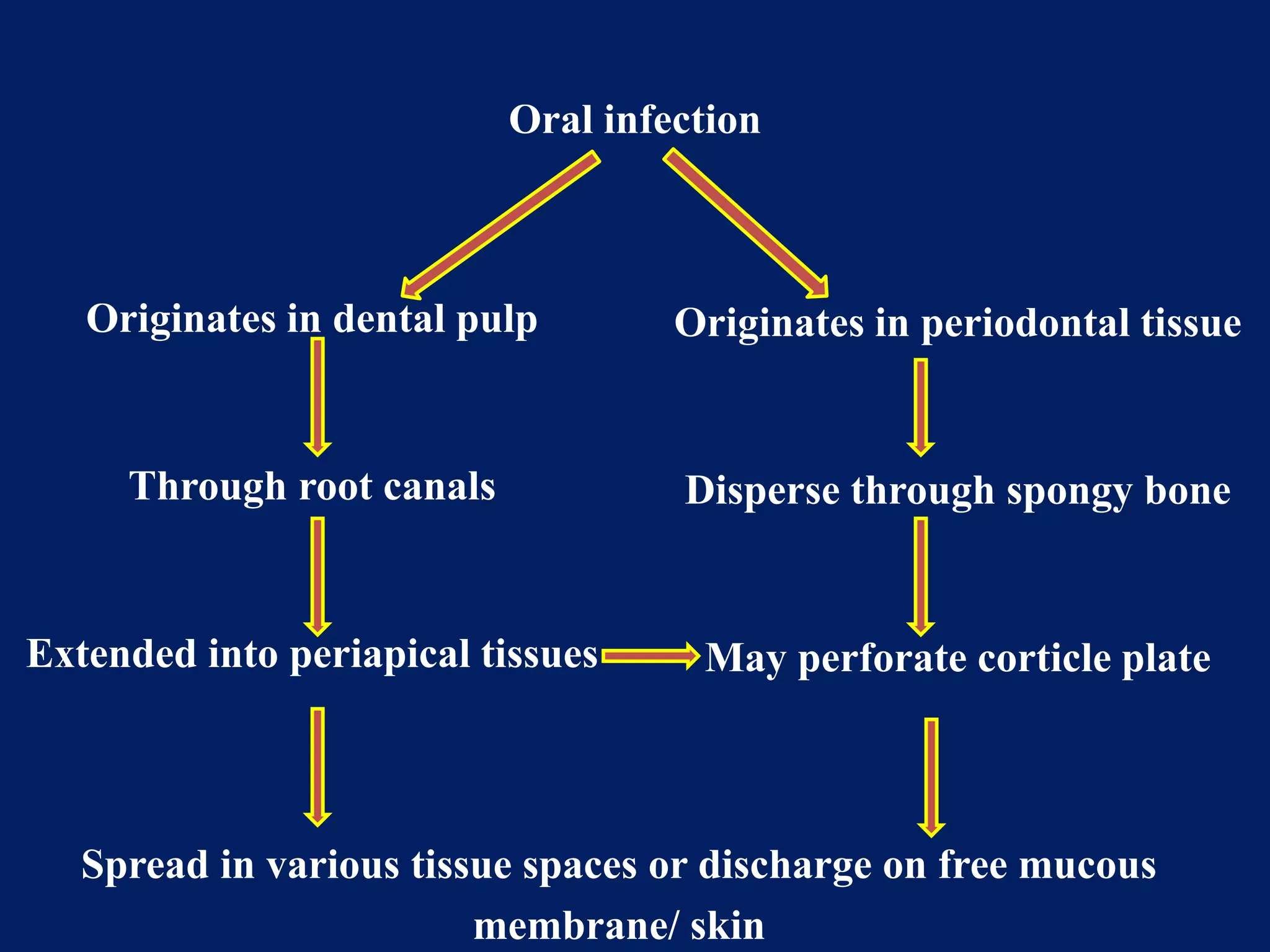 Spread of oral infections | PPTX