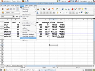 OpenOffice Spreadsheet | PDF