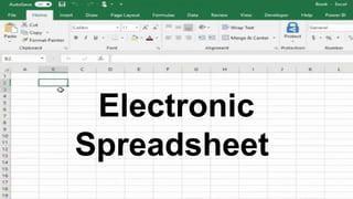 Ms electronic spreadsheet and basic formula | PPTX