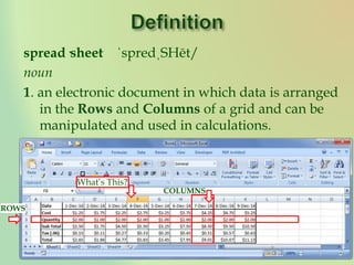 Spreadsheets 101 | PPTX