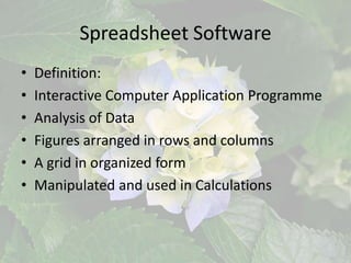 Spreadsheet software | PPTX