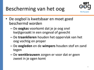Spreekbeurt oog maart 2009 | PPTX