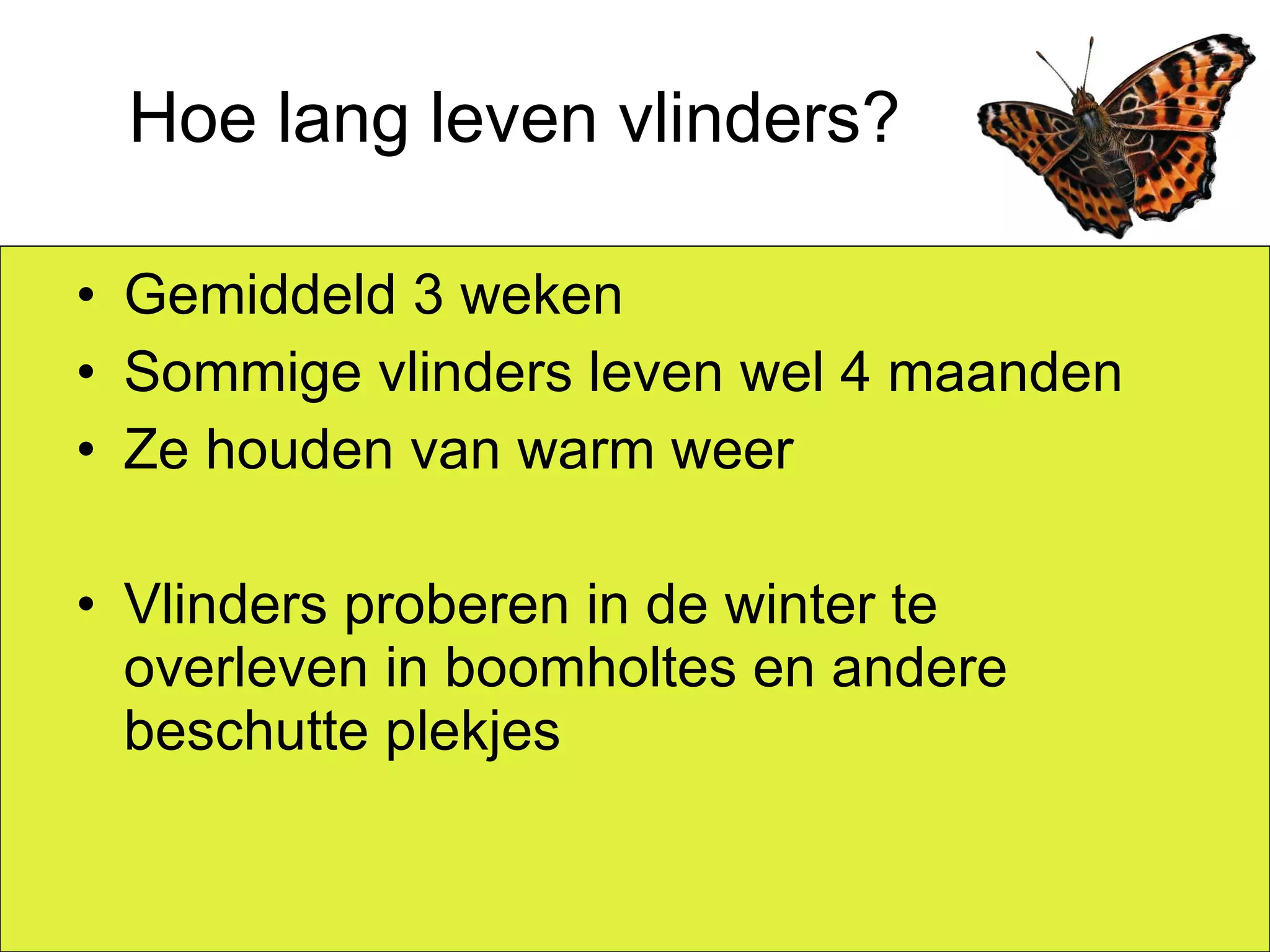 Spreekbeurt vlinders2 okt 2008 | PPT