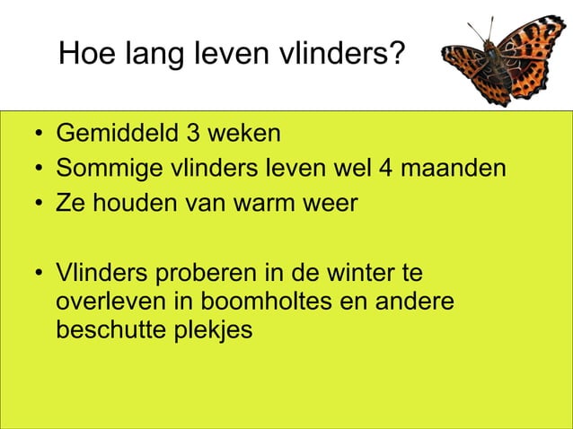 Spreekbeurt vlinders2 okt 2008 | PPT