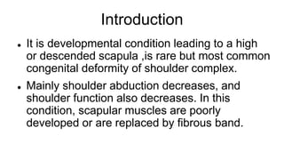 Sprengel deformity presentation by doctor | PPTX