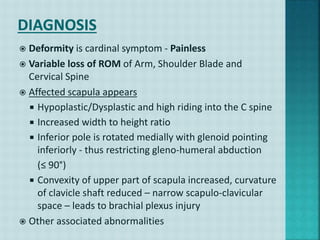 SPRENGEL SHOULDER.pptx