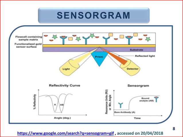 surface plasmon resonance | PPTX | Chemistry | Science