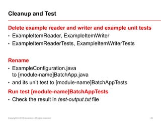 Spring Batch in Code - simple DB to DB batch applicaiton | PDF