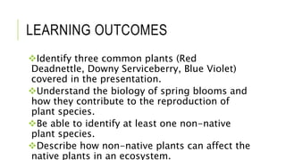 Spring-Flowers.pptx | Gardening | Home & Garden