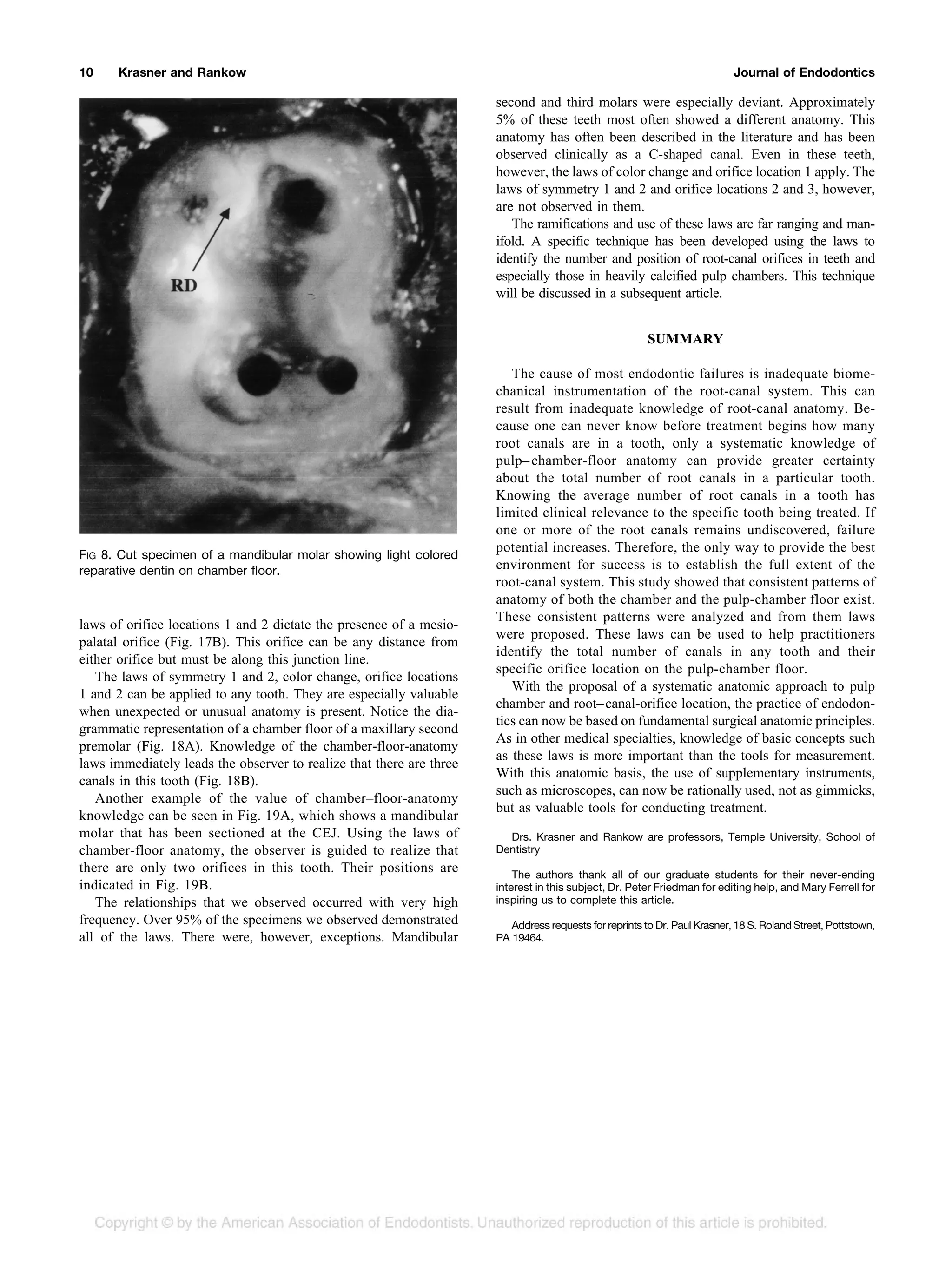 anatomy of the pulp-chamber floor | PDF