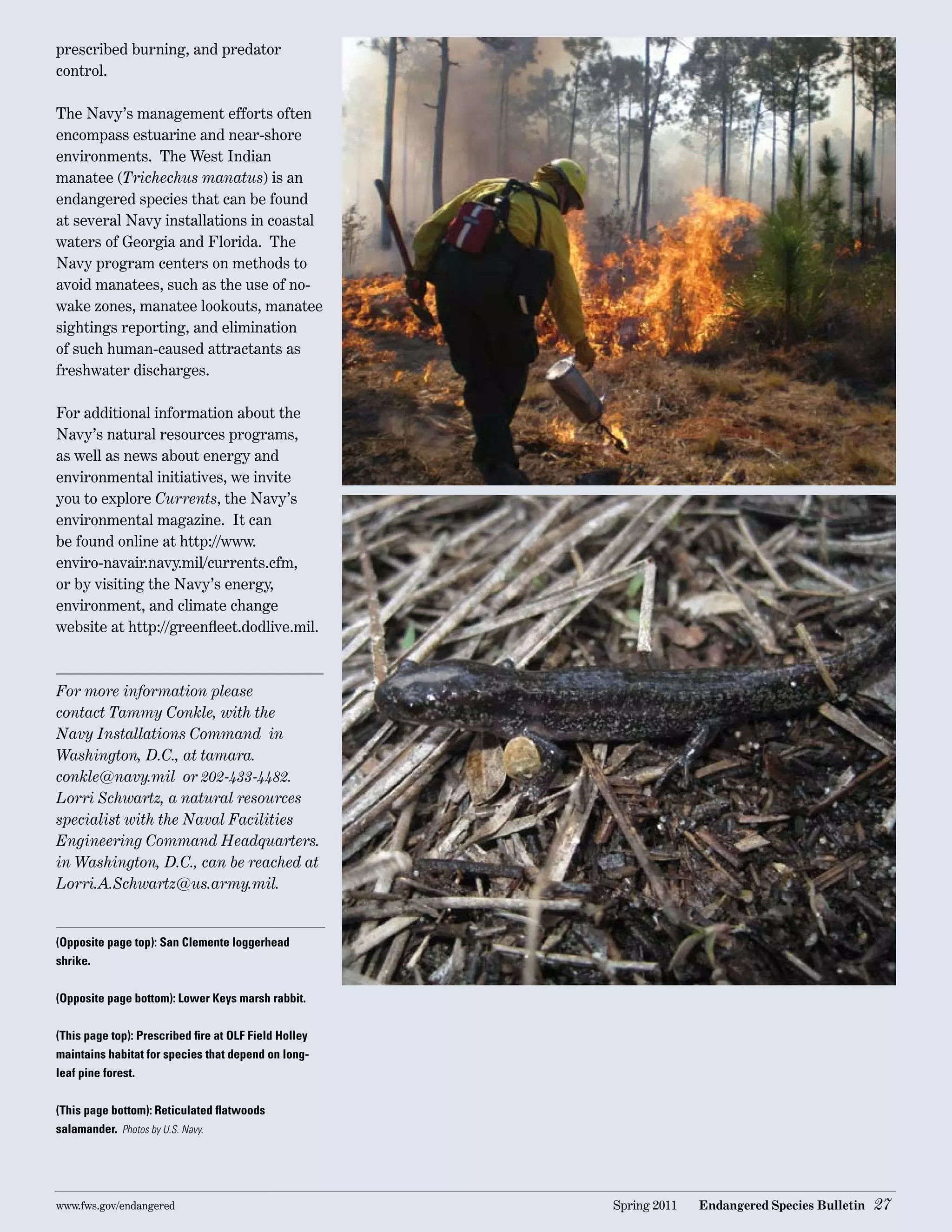 Endangered Species Bulletin - Spring 2011 | PDF