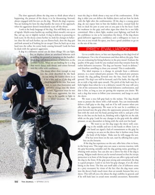 Selecting a Police Dog Candidate | PDF