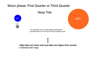 Tide notes part 2 | PPTX
