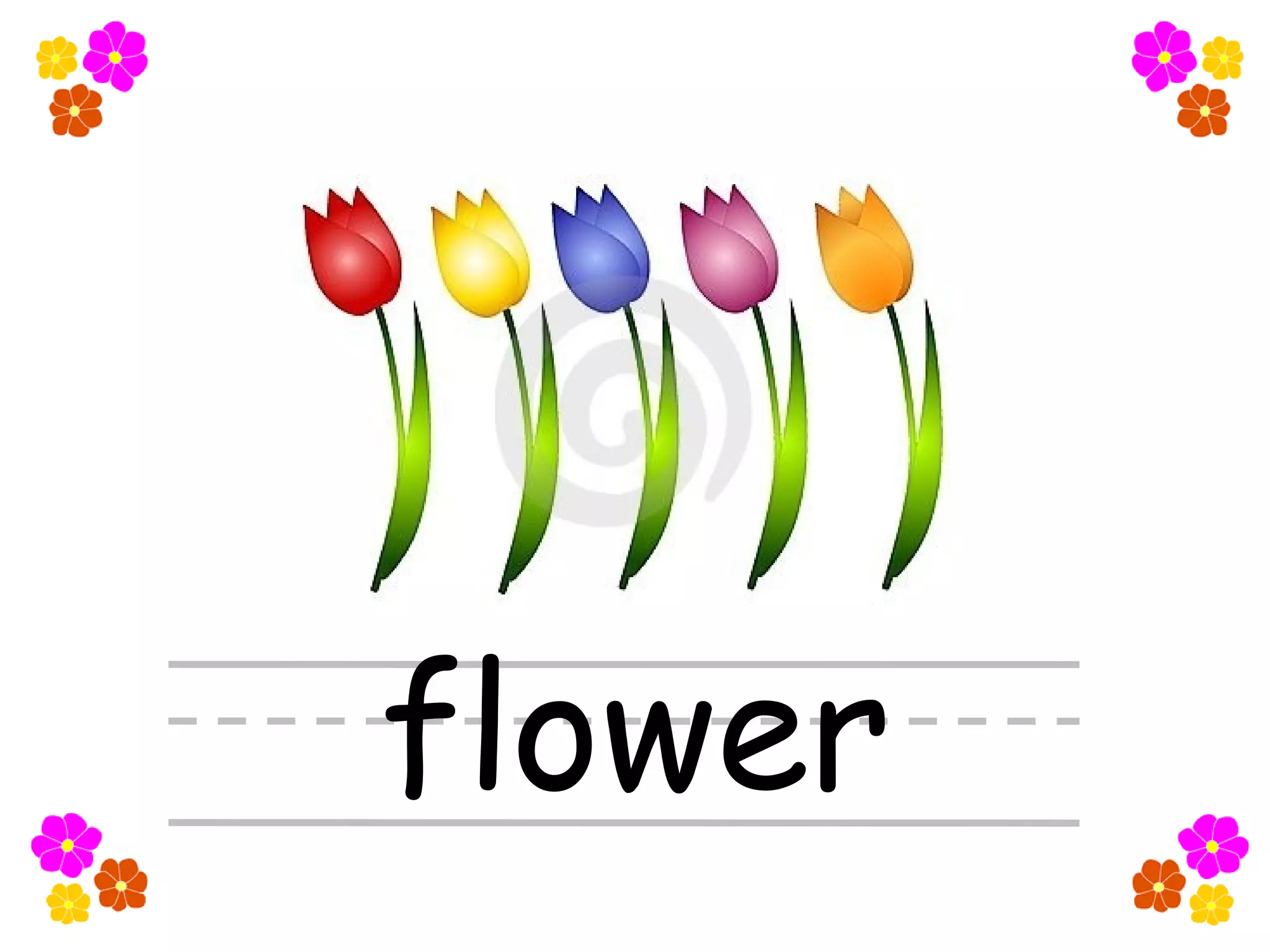 Spring Flashcards | PPT