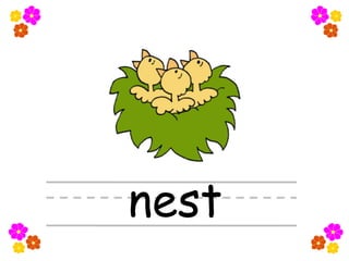 Spring Flashcards | PPT