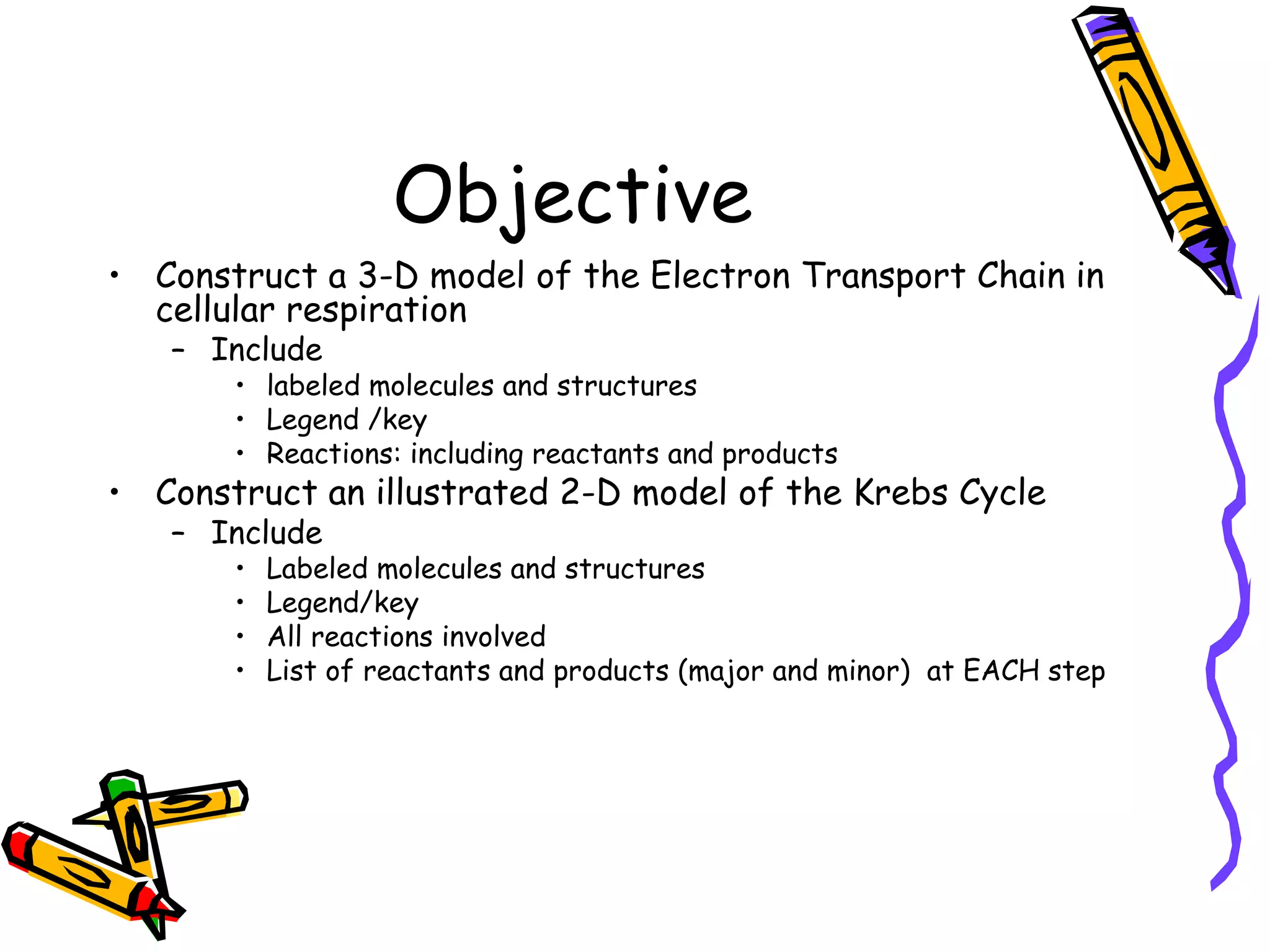 BIOLOGY Spring Break Project | PPT