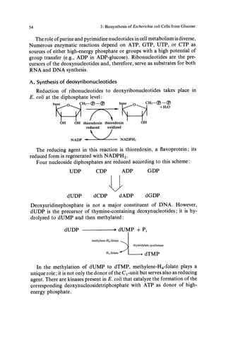 bacterial-metabolism | PDF