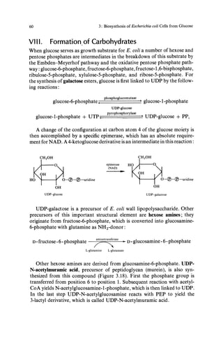 bacterial-metabolism | PDF