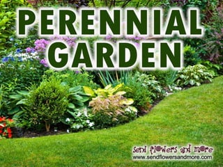 Spring flowers collection at nybg on this mother’s day | PPT