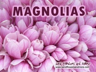 Spring flowers collection at nybg on this mother’s day | PPT