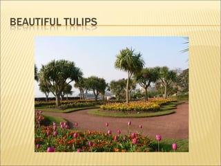 Spring in Great Britain | PPT