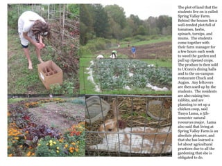 UConn’s Spring Manor Farm offers seven benefits for university | PPT ...