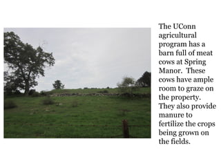 UConn’s Spring Manor Farm offers seven benefits for university | PPT ...