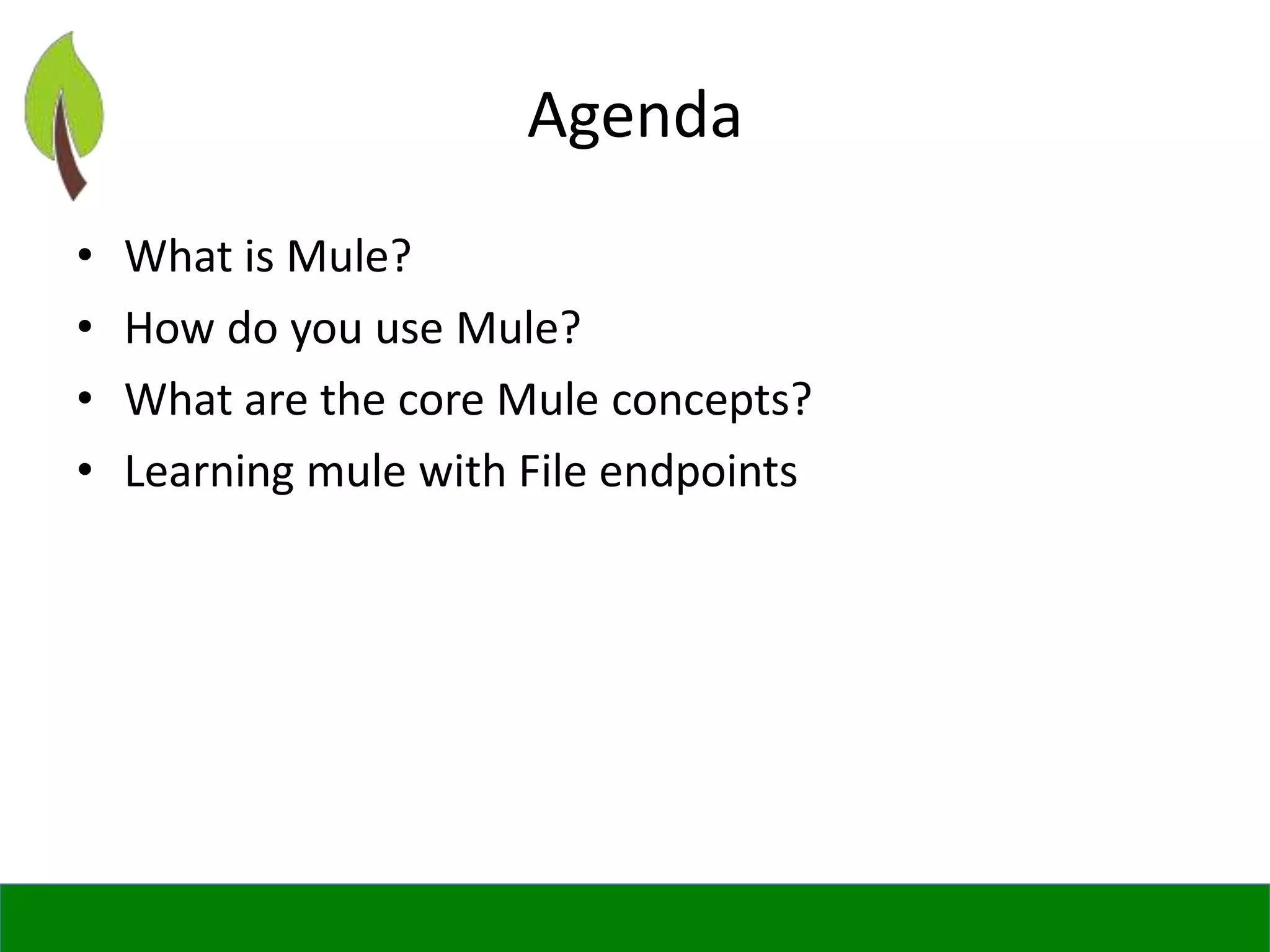 Introduction to mule esb | PPT