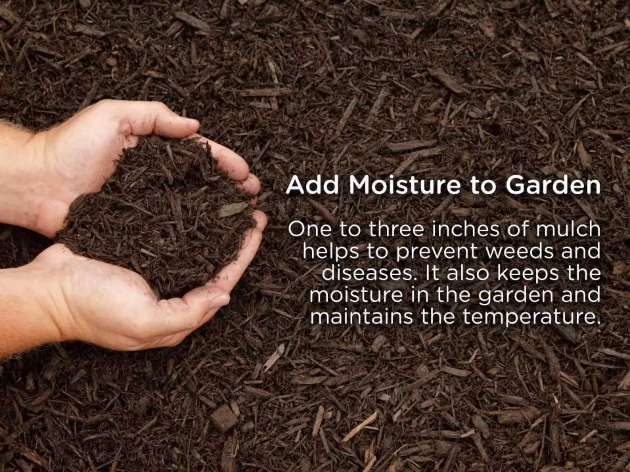 Spring Planting Tips | PPTX