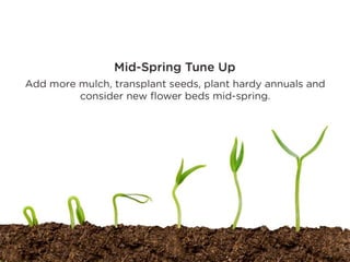 Spring Planting Tips | PPTX