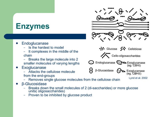 Systematic Cellulose Hydrolysis Model | PPT | Chemistry | Science