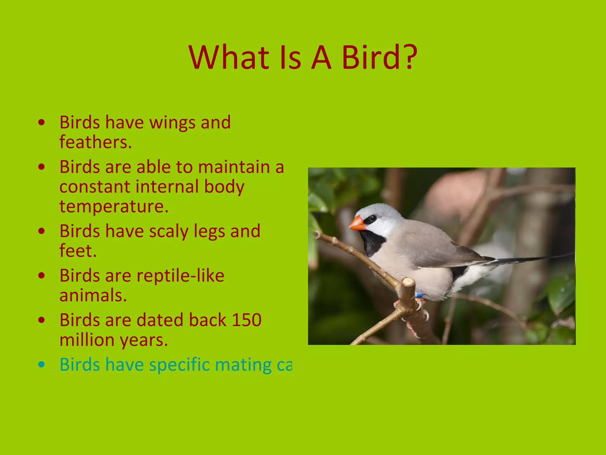 Spring Project Power Point (Deegan) | PPT