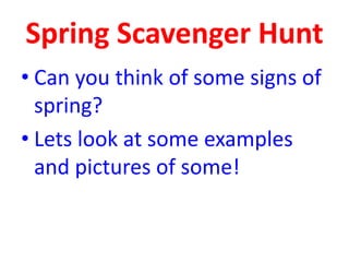 Spring scavenger hunt | PPT