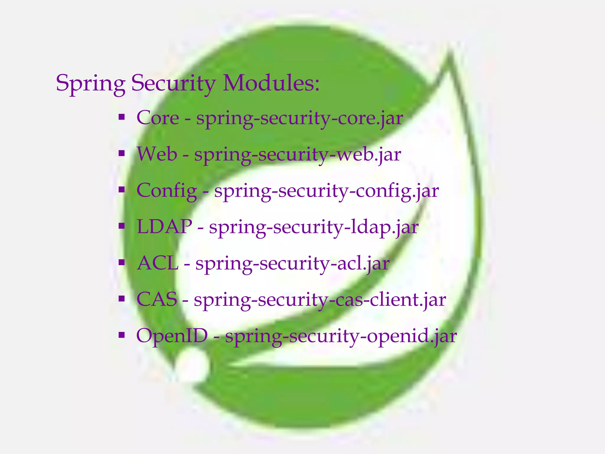 Spring security | PPTX