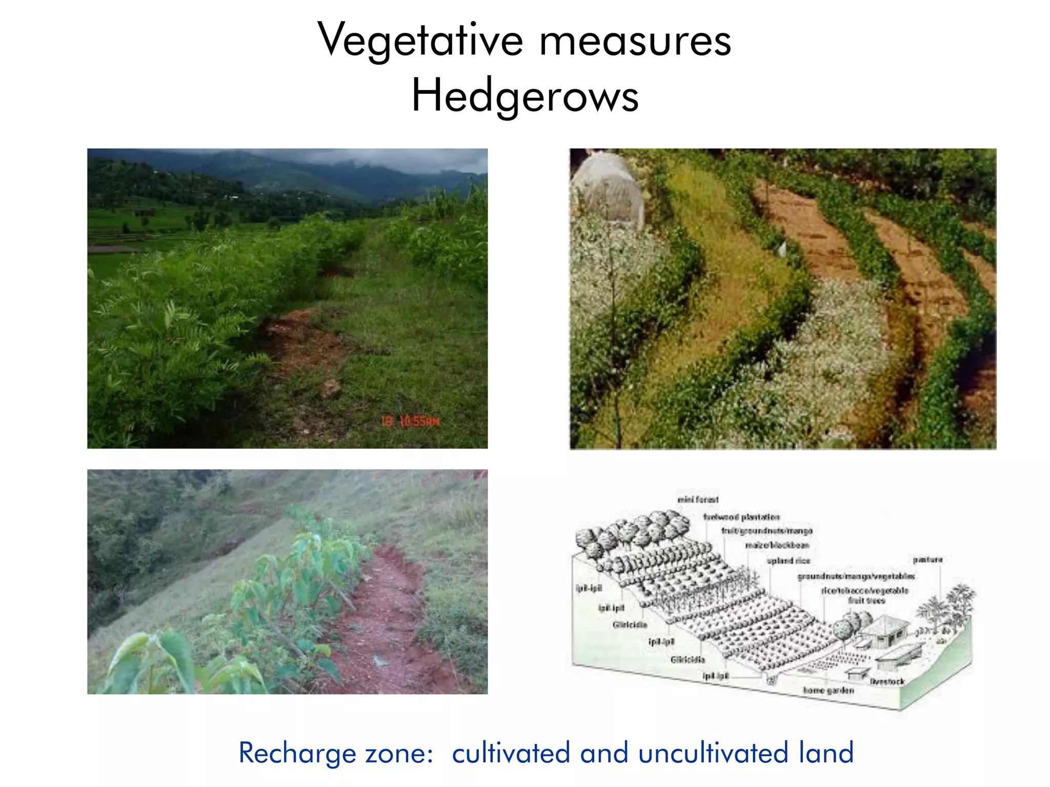Springshed treatment measures | PDF