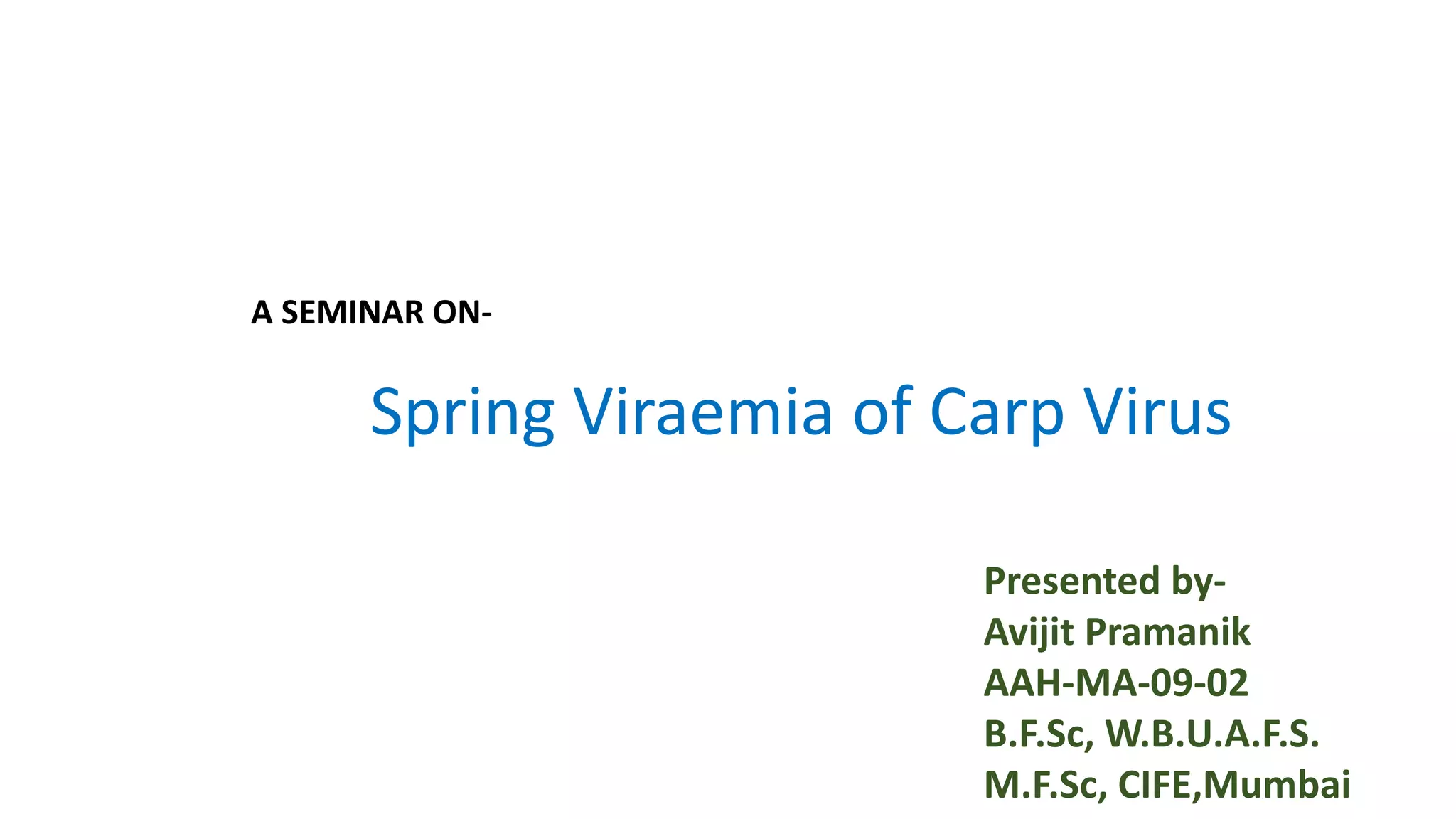 Spring viraemia of carp disease in finfish (svcv) | PDF