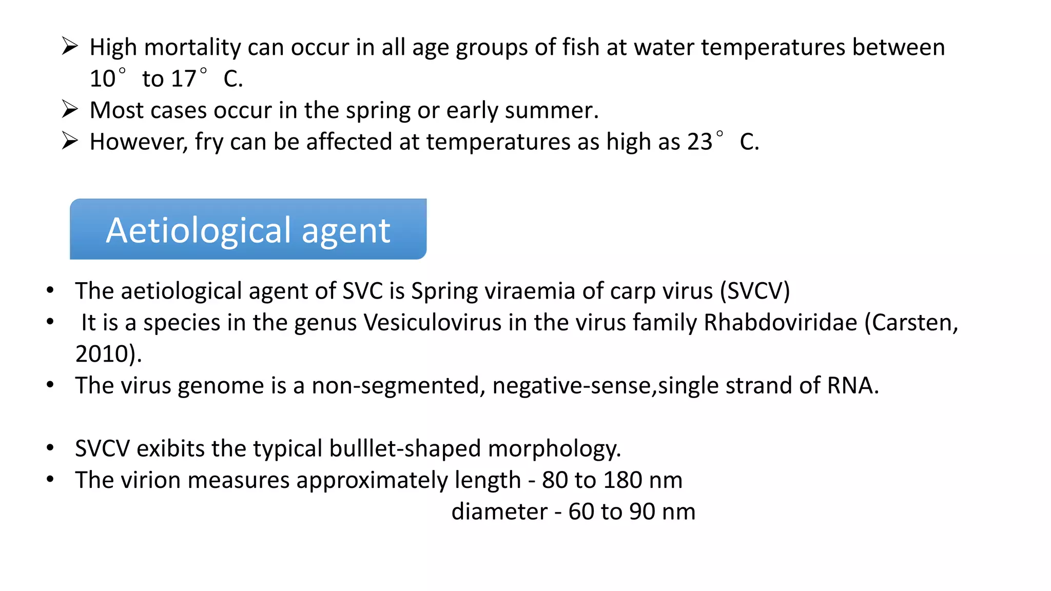 Spring viraemia of carp disease in finfish (svcv) | PDF